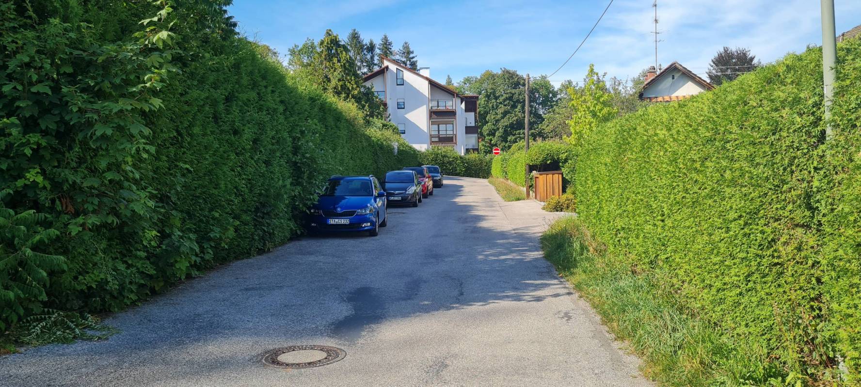 Grenzenlose Hecken im Visier - Tutzing - Vor-Ort News