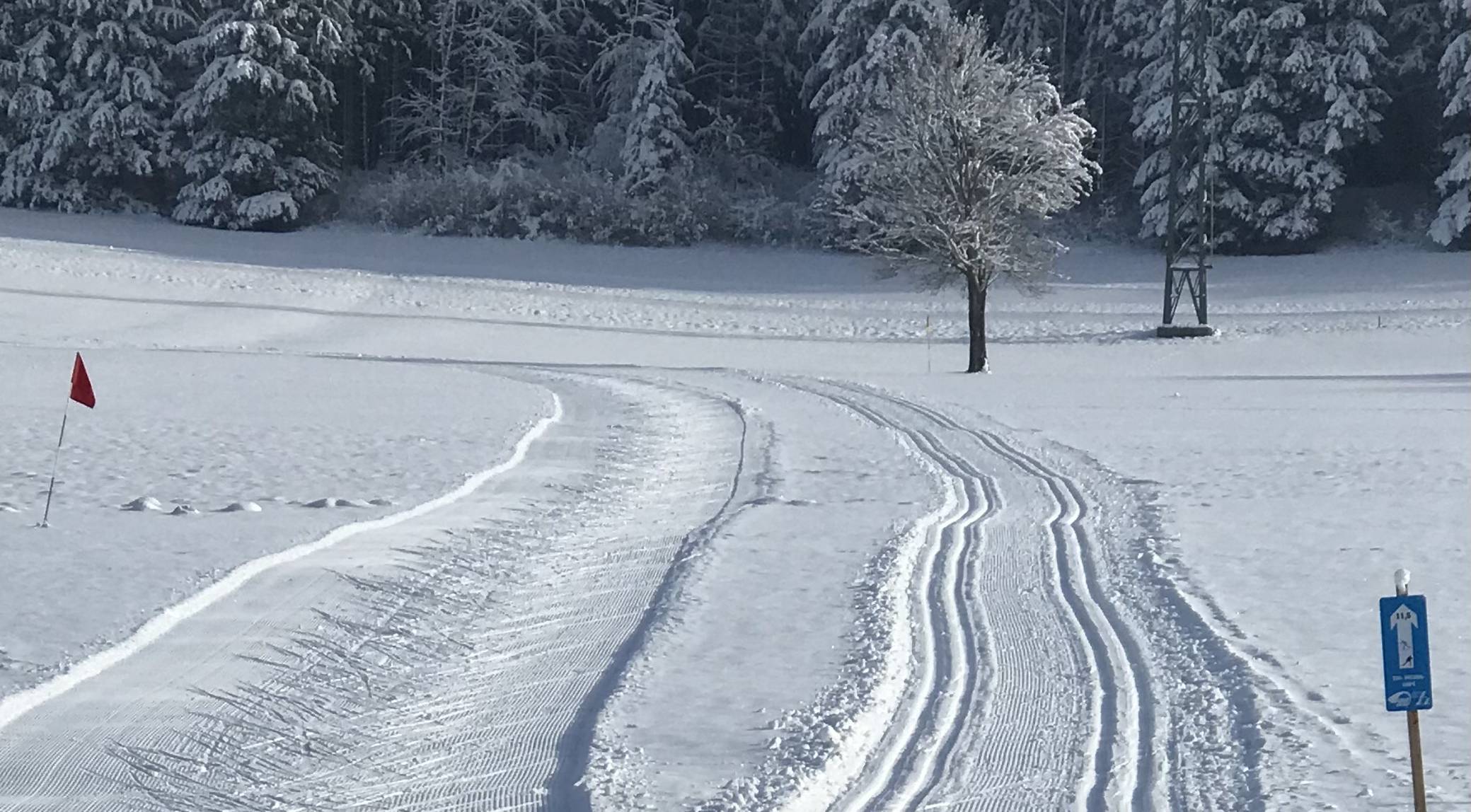 Tutzinger Loipe geöffnet - Tutzing - Vor-Ort News